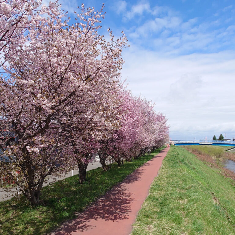 ボッコなおはなし その4 中の人限定（ちょっとだけ自慢話） | booco | 北海道の製本会社が作った文房具（ボッコ）